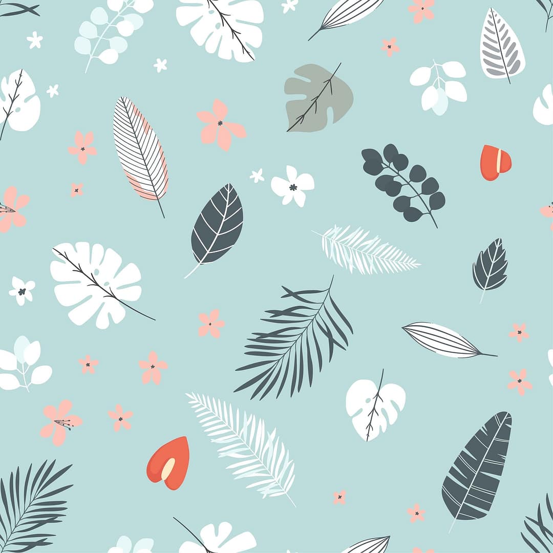 Weekly blog | Chopwa shop