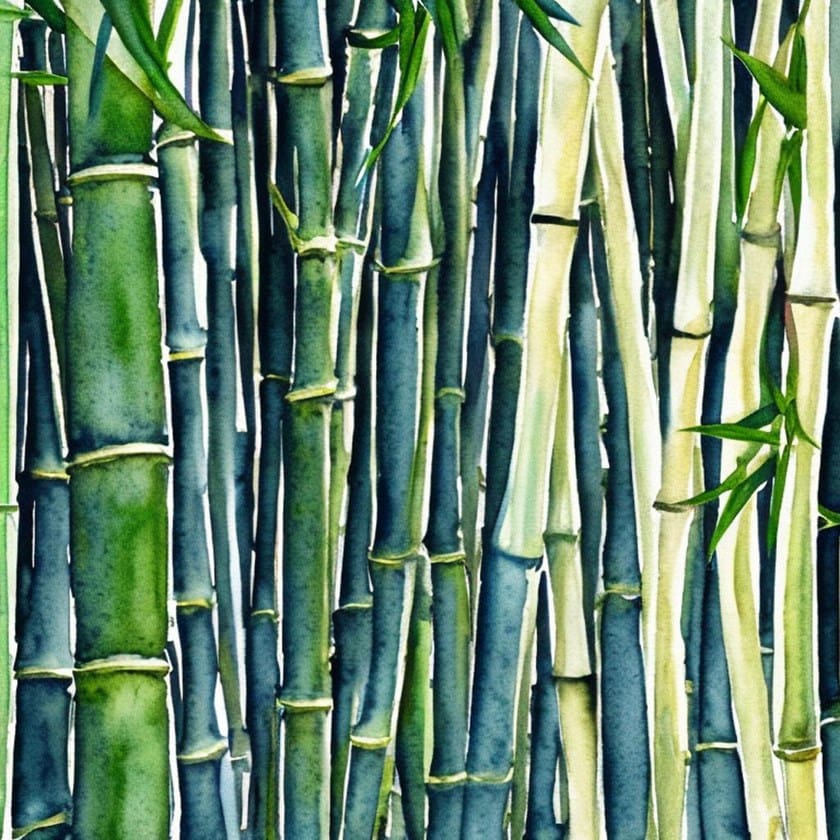 Bamboo Poem In The Style Of Confusius | Help43 - Help For Trees