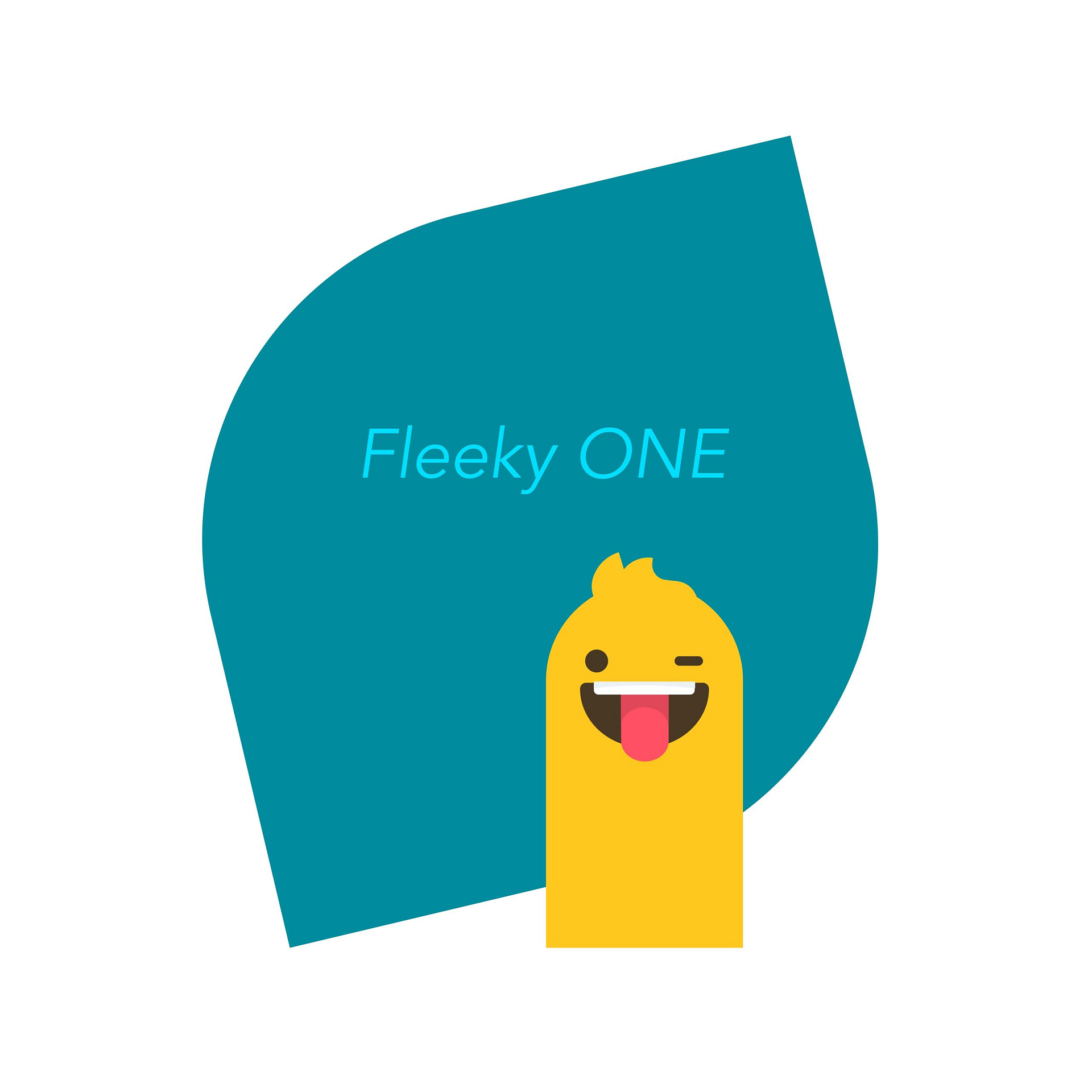 Fleeky ONE | Learn Affiliate Marketing and build your own Website